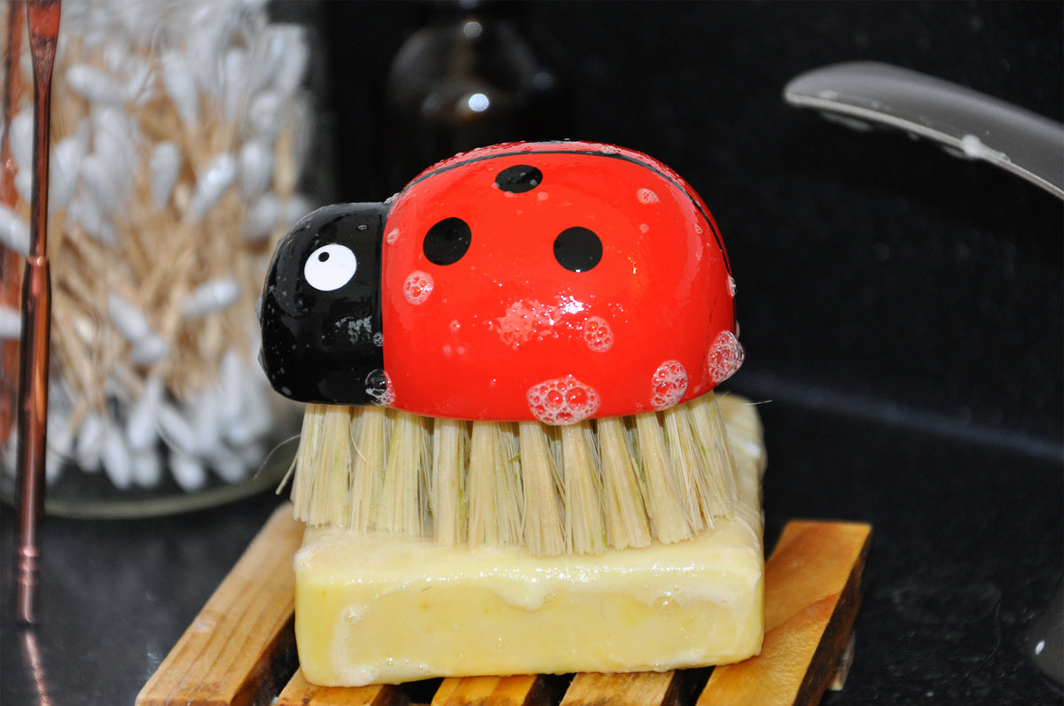Ladybug Brush – Zefiro Chicago